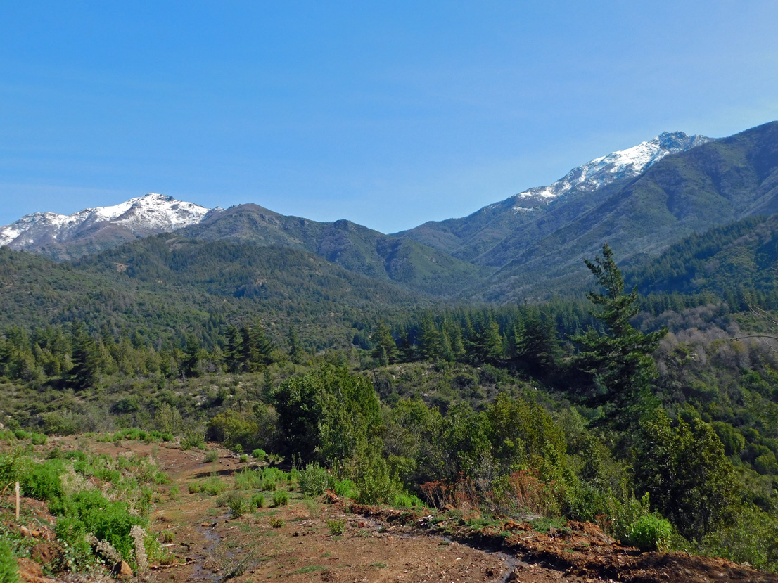 Cerro El Chueco - Andeshandbook