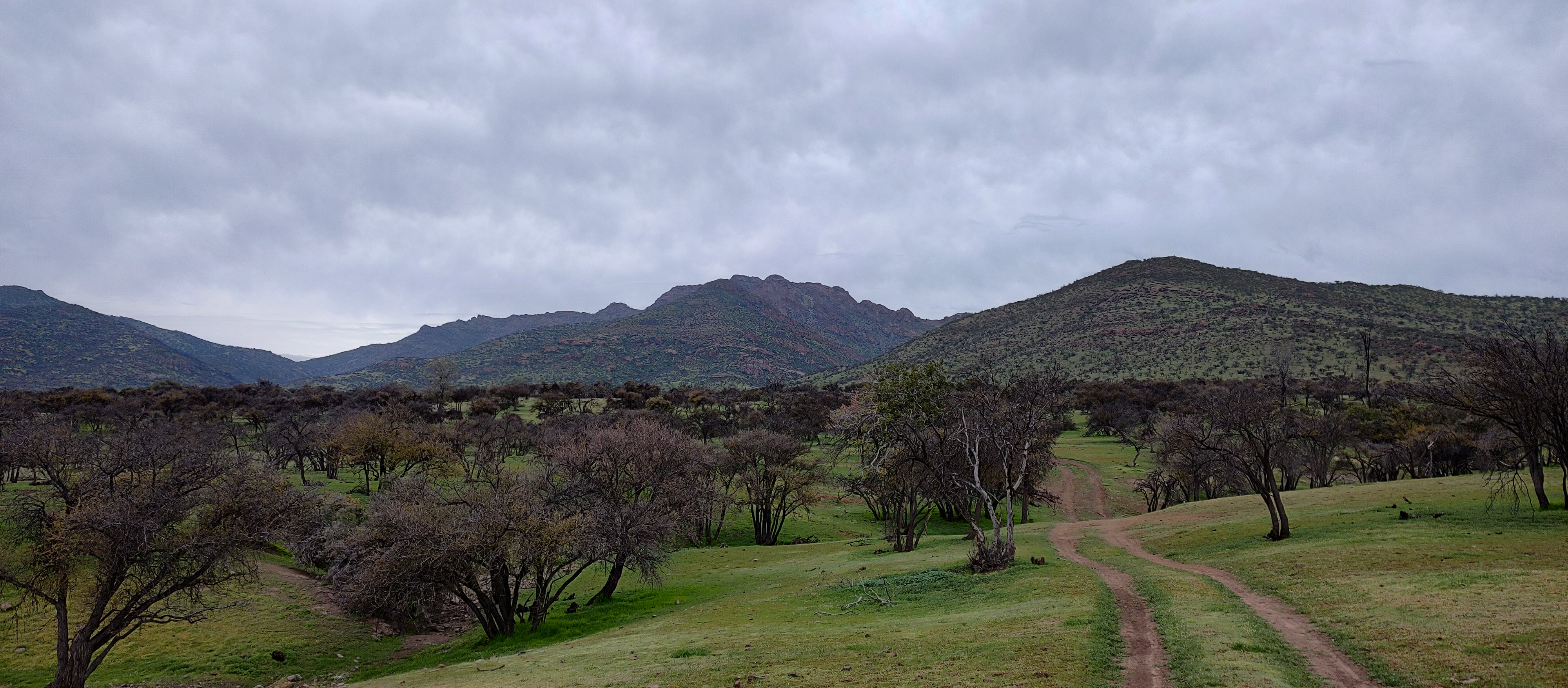 Cerro El Griego - Andeshandbook